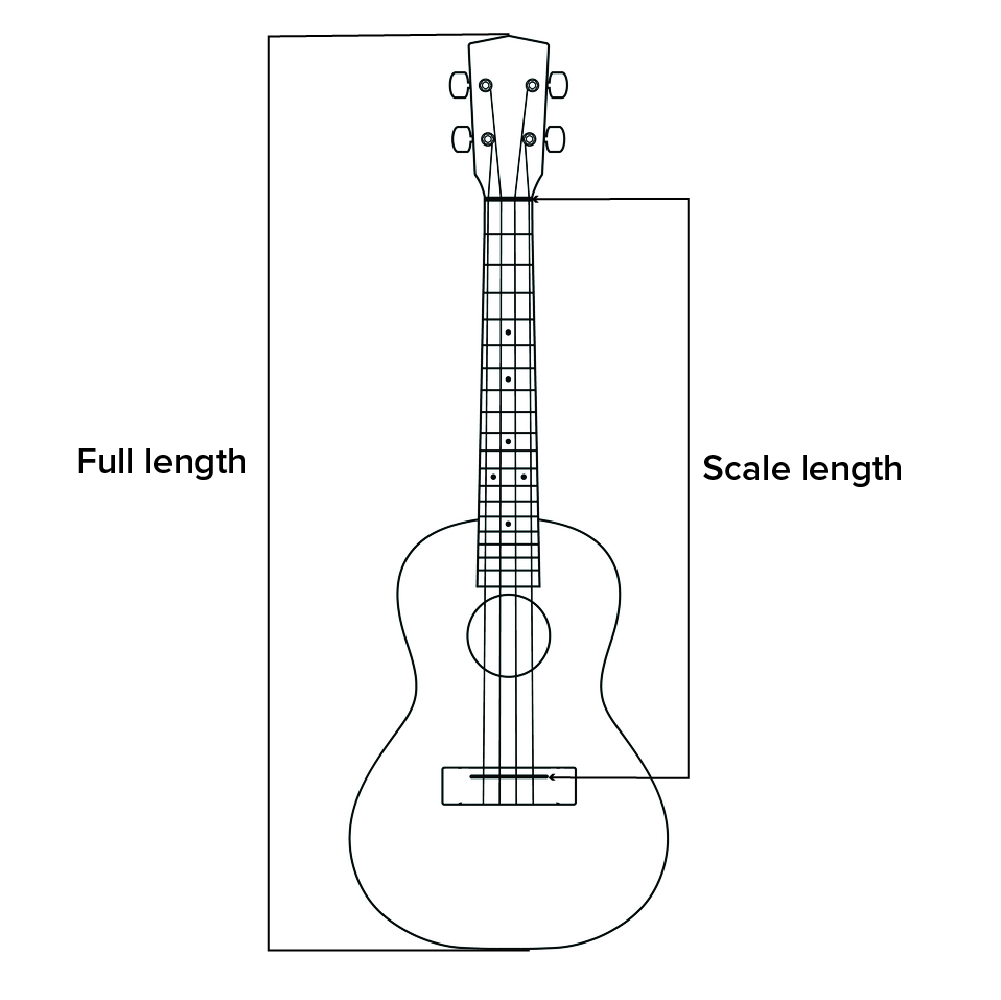 Types of Ukuleles- Settling the Ukulele Debate Once and for All.