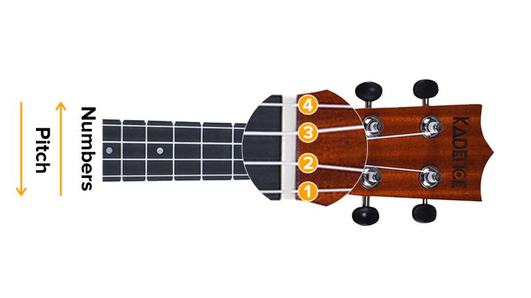 Ukulele String Names and Notes Explained – Learn the Basics of Ukulele ...
